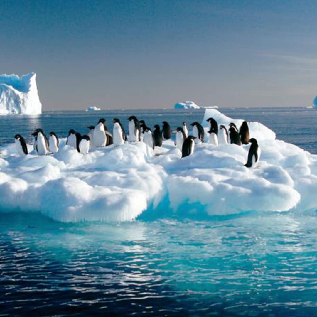 El Ártico se derrite y estas serán las consecuencias para el mundo ...